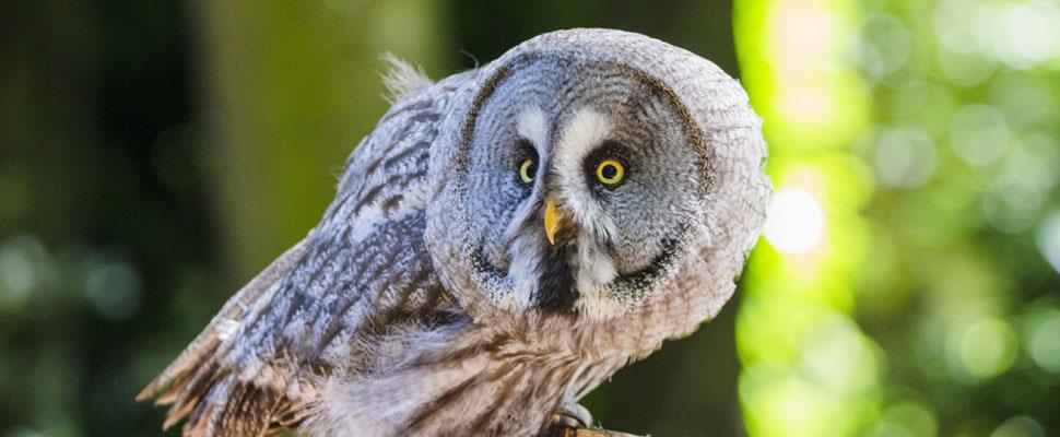 Top 11 things to do in Hampshire you'll love in 2020