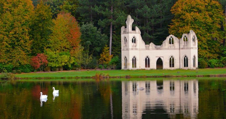 Top 11 things to do in Surrey you'll love in 2018