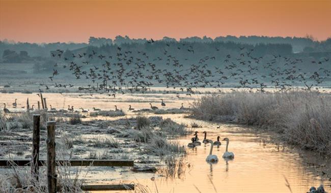 Pulborough - Towns & Villages in West Sussex - Visit South East England