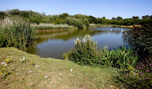 Brookfield Park - Parkland / Woodland Garden in Littlehampton, Arun ...
