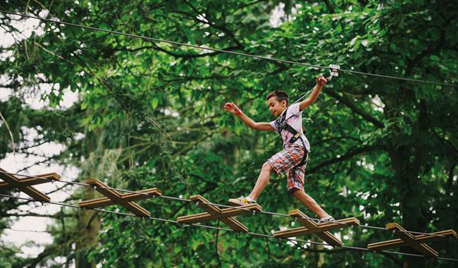 Go Ape at Tilgate Park - Adventure Park / Playground in Crawley ...