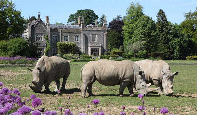 Cotswold Wildlife Park & Gardens - Animal Collection / Zoo in Burford ...
