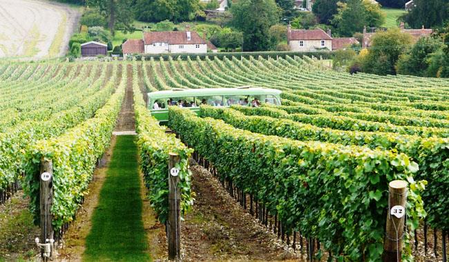 Hambledon - Towns & Villages in Hambledon, Portsmouth - Visit South ...