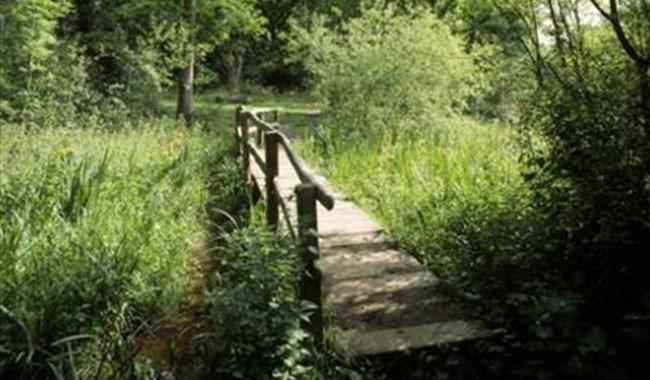 Leatherhead - Towns & Villages in Leatherhead, Surrey - Visit South ...