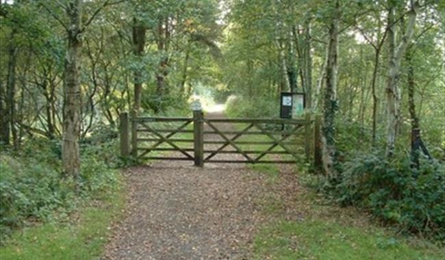 Liss - Towns & Villages in Liss, Hampshire - Visit South East England