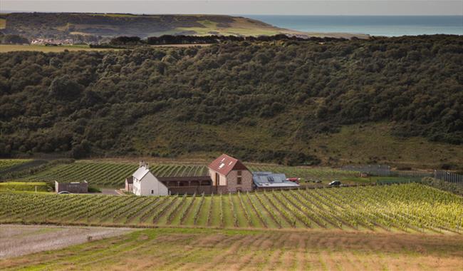 Rathfinny Wine Estate - Vineyard in Polegate, East Sussex - Visit South ...