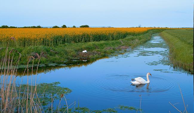 Romney Marsh - Towns & Villages in New Romney, Kent - Visit South East ...