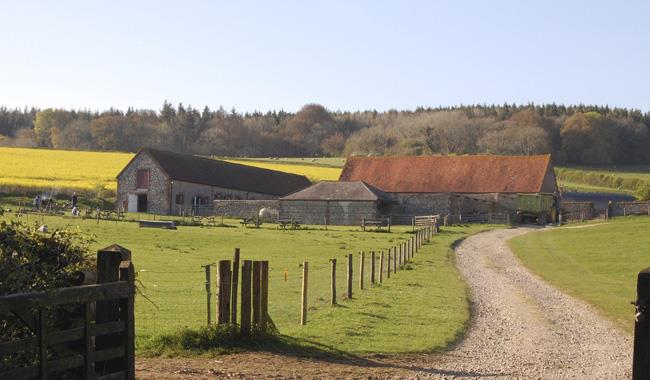 Slindon - Towns & Villages in Arundel, Arun - Visit South East England