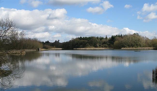 Warnham Nature Reserve - Nature Reserve in Horsham, Horsham - Visit ...