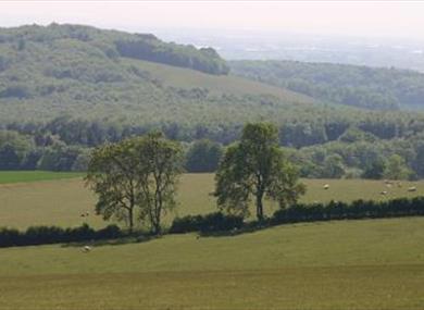 Slindon Estate - National Trust - Nature Reserve in Arundel, Arun ...